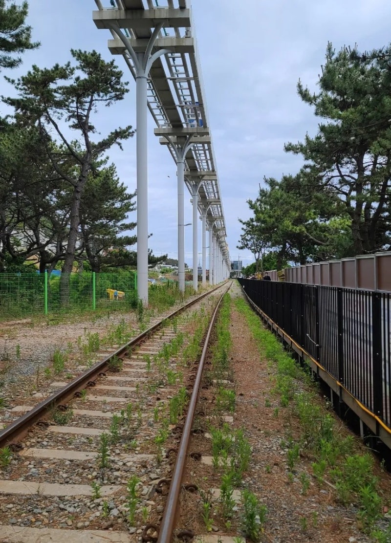부산 해운대 미포철길 그린레일웨이 따라 해안길 트레킹 네이버 블로그