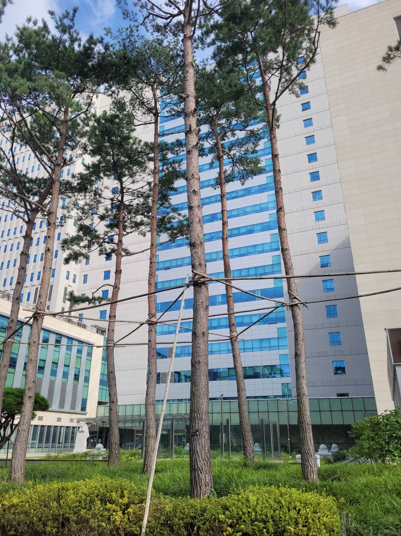 서울보증보험 채무 확인 부채증명서 발급 네이버 블로그