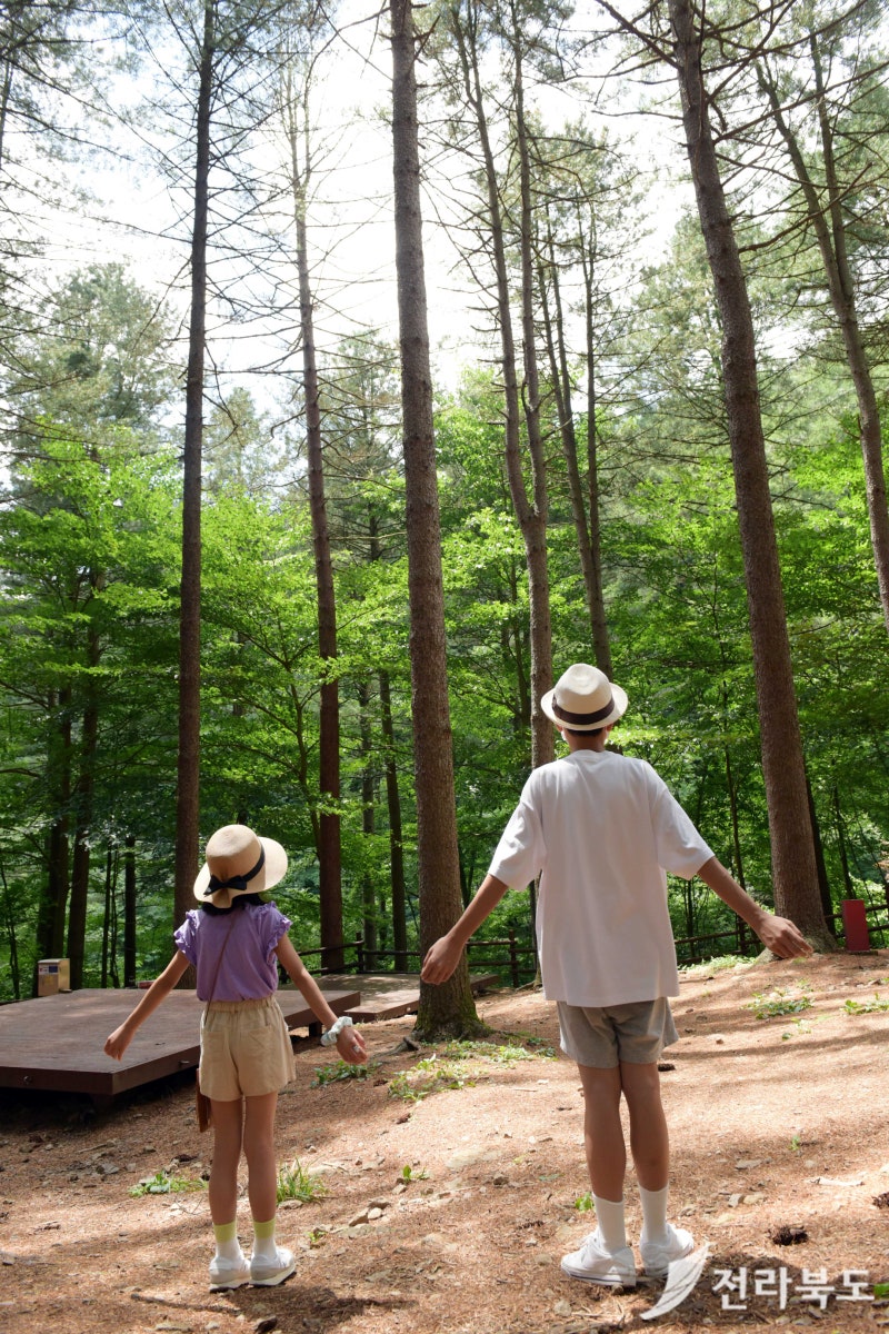 전북의 숲 따라 무주 여행 덕유산 자연휴양림 네이버 블로그