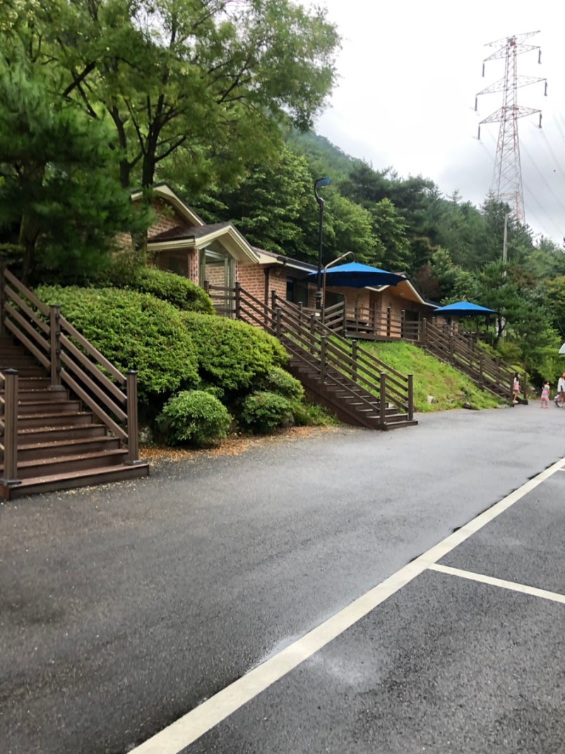 대전 근교 옥천 장령산 휴양림 느티나무2호 숲속의집 숙박펜션 네이버 블로그