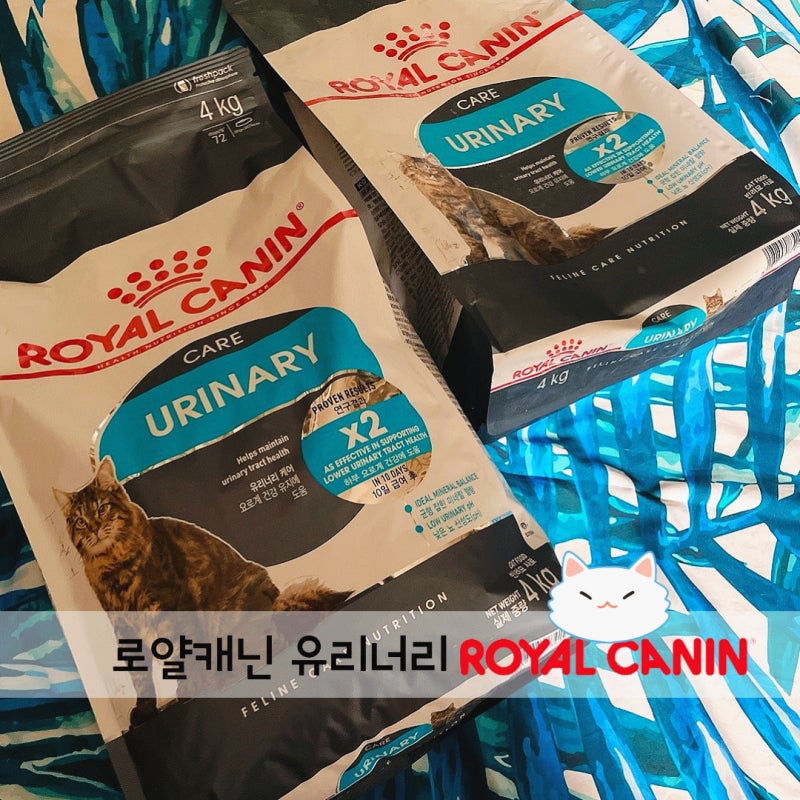 고양이 요로결석 케어용 사료 로얄캐닌 유리너리 So 캣 네이버 블로그