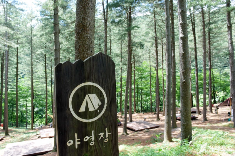 전북의 숲 따라 무주 여행 덕유산 자연휴양림 네이버 블로그