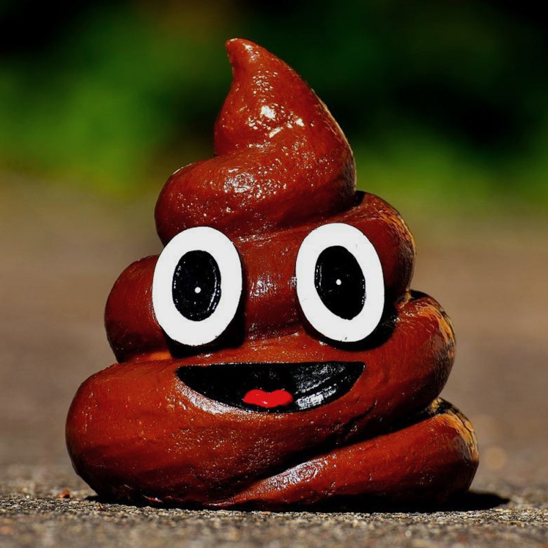 Loose Stool 과 Diarrhea 는 무엇이 다른가? : 네이버 블로그