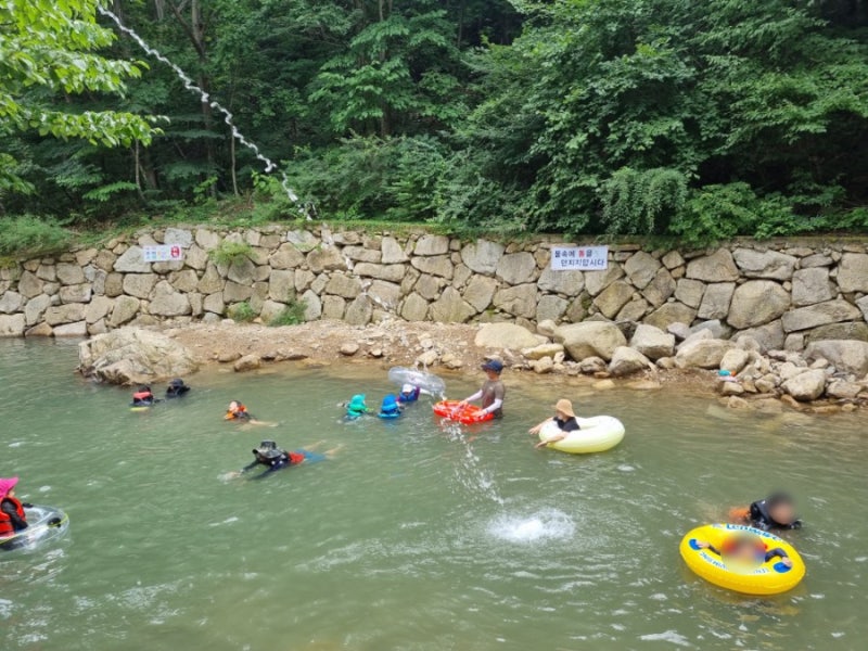 울산근교 가볼만한곳 양산 원동 물놀이야영장 배내골 놀거리 많은 에덴벨리스키장 네이버 블로그