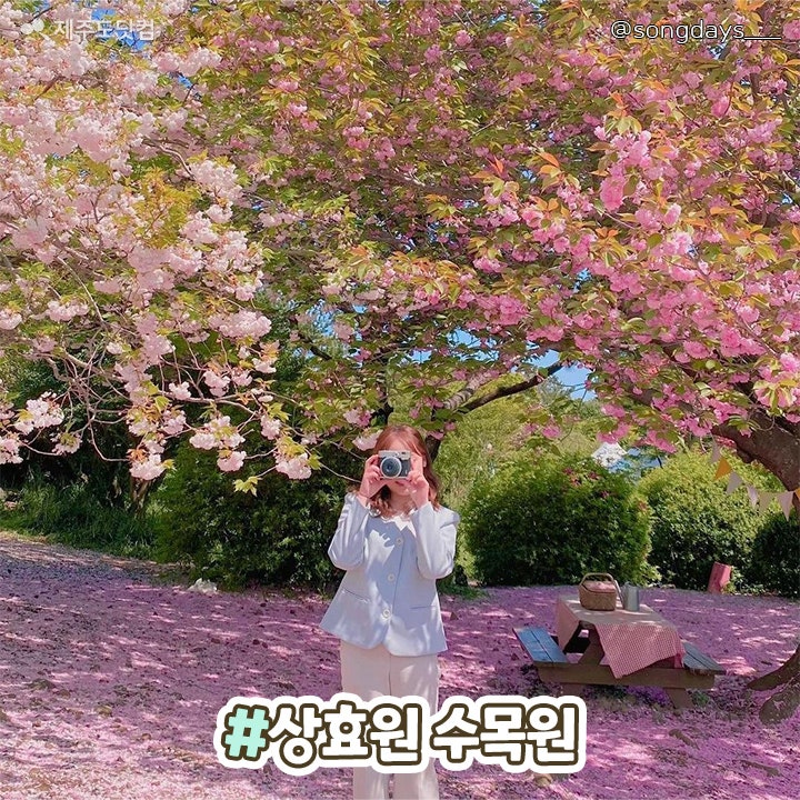 제주도 가볼만한곳 제주 남쪽 코스 추천 안덕서귀포남원표선성산 네이버 블로그
