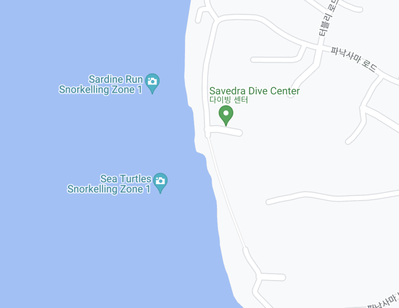 필리핀세부 모알보알 준다이브 스쿠버다이빙환도상어 거북이 바다반딧불이 네이버 블로그
