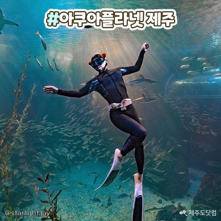 제주도 가볼만한곳 제주 남쪽 코스 추천 안덕서귀포남원표선성산 네이버 블로그