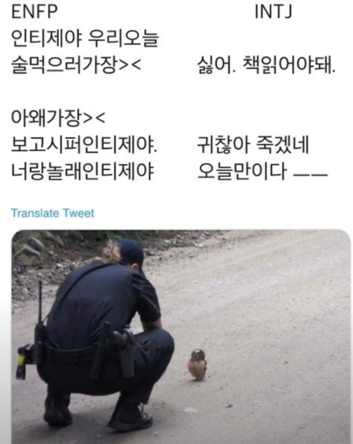 Intj 특징팩폭빙고직업추천 인티제 특징 네이버 블로그