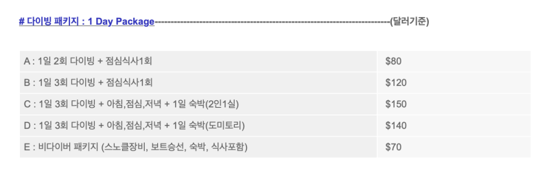 필리핀세부 모알보알 준다이브 스쿠버다이빙환도상어 거북이 바다반딧불이 네이버 블로그