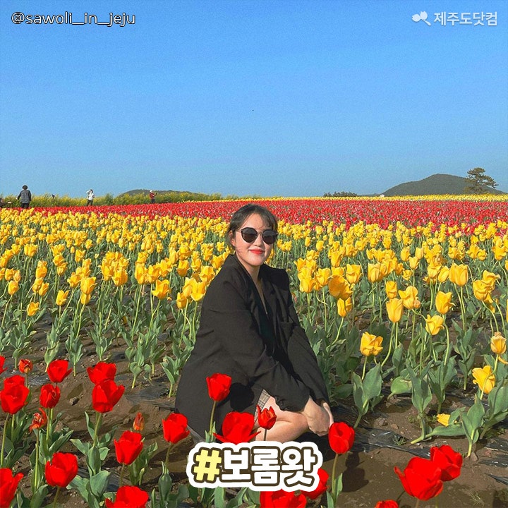 제주도 가볼만한곳 제주 남쪽 코스 추천 안덕서귀포남원표선성산 네이버 블로그