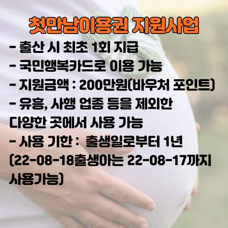 2022년 출산지원금 지역별 출산장려금 쉬운 확인 2022 출산혜택 네이버 블로그
