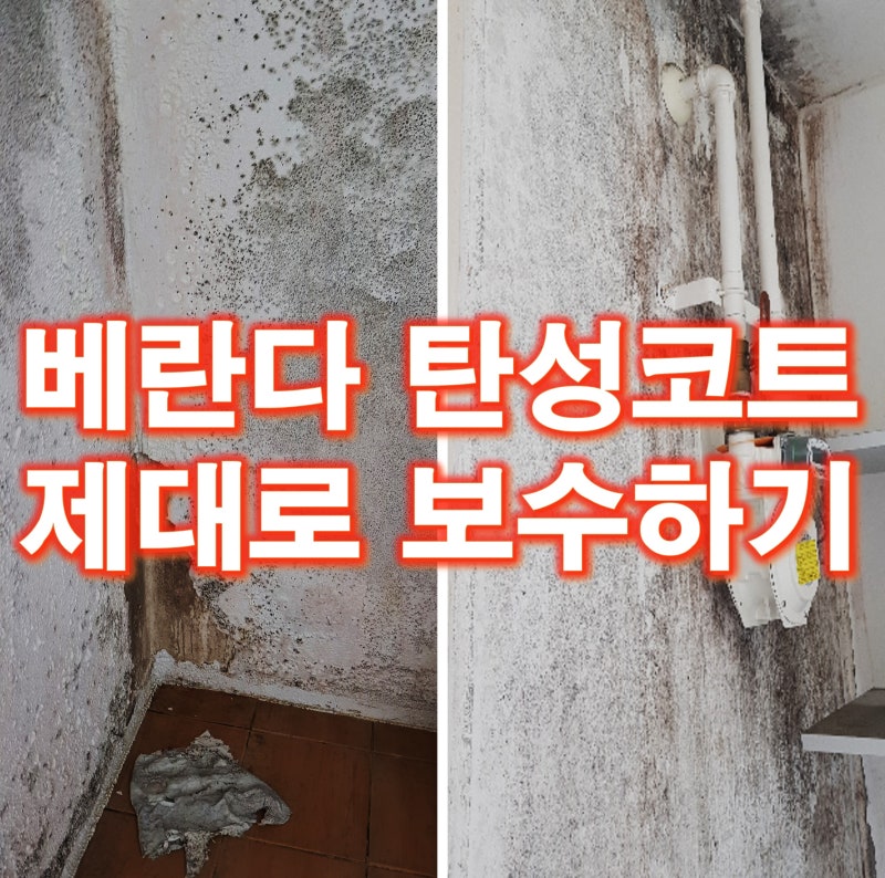 서울 은평구 은평뉴타운 아파트 베란다 탄성코트 들뜸 벗겨짐 박리 탄성코트 곰팡이 보수 제대로 Feat 베란다 결로 방지