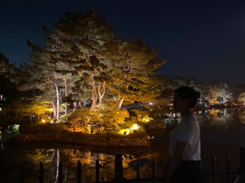 경주 여행1 백년손님황리단길황남옥수수십원빵경주소품샵대릉원첨성대월정교황남홍가동궁과월지블라우게스트하우스