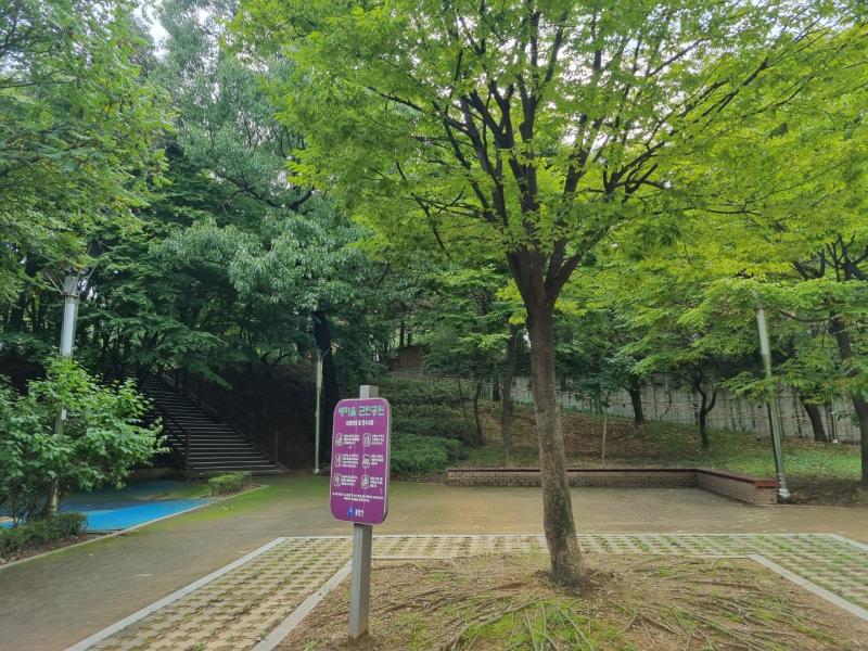 용인 수지 아파트 임장 한성아파트 삼성2차 삼성4차 네이버 블로그