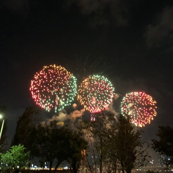 서울세계불꽃축제 20191005 이촌한강시민공원 여의도 불꽃축제 네이버 블로그