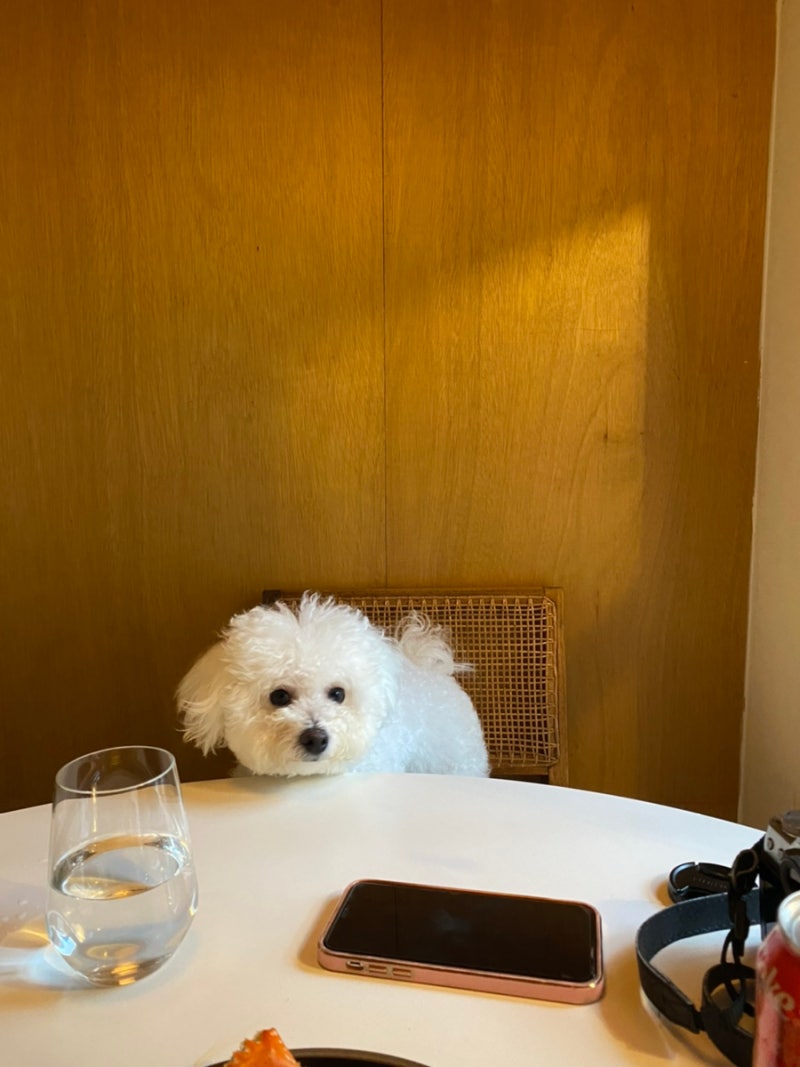서울숲맛집:: dooop, 감성 인테리어와 맛있는 브런치가 있는 애견동반식당 : 네이버 블로그
