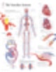 VBGA 검사의 임상적 의미 (Venous Blood Gas Analysis, ABGA와 VBGA) : 네이버 블로그