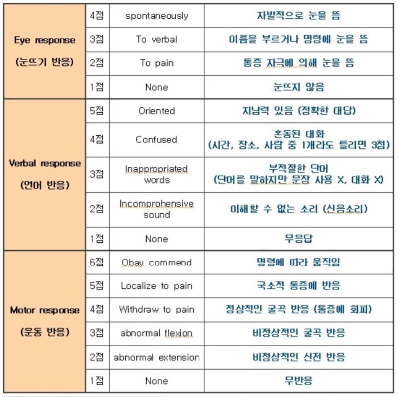 GCS / Limb Motor (사정꿀팁★★) : 네이버 블로그