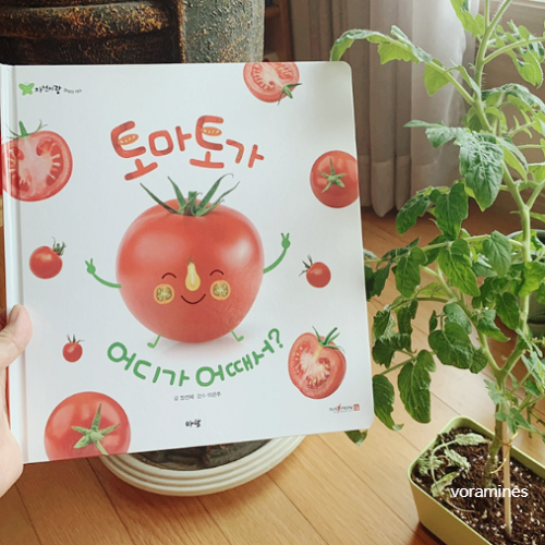 자연관찰전집 보면서 토마토 기르기 네이버 블로그