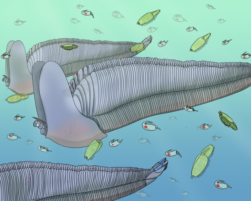 [海 이야기] 육해공의 지배자, 갑각류 이야기 (1) : KMI 한국해양수산개발원 : 네이버 블로그