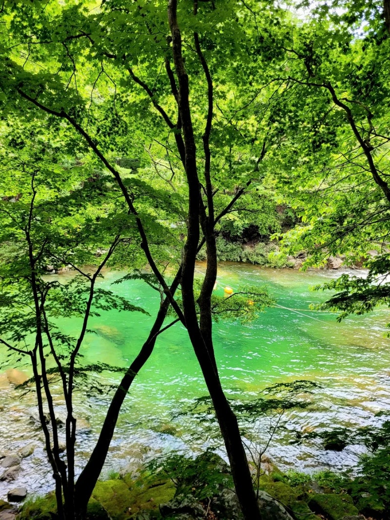 지리산국립공원 뱀사골계곡 트레킹(13km, 4시간 30분 소요) : 네이버 블로그