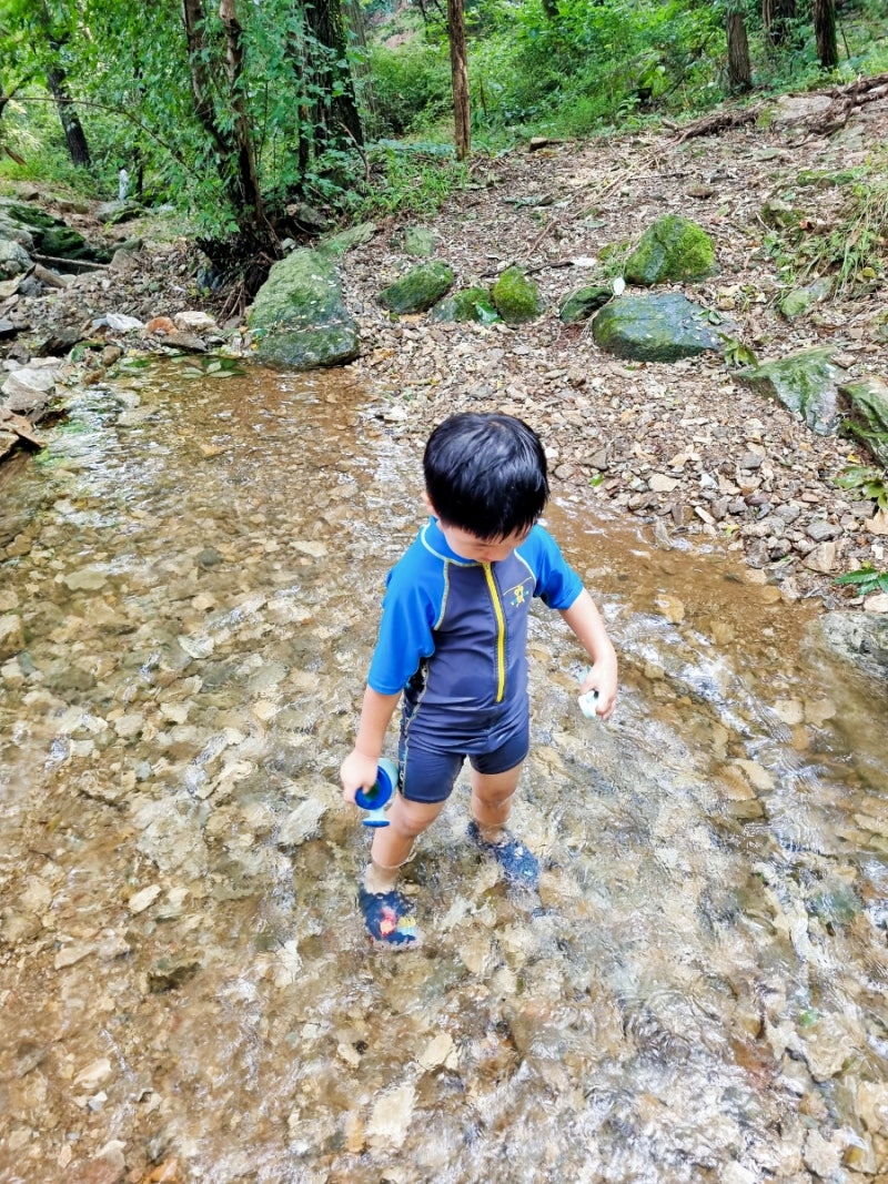 아이랑 캠핑 용인 자연숲캠핑장 계곡 수영장 방방 네이버 블로그