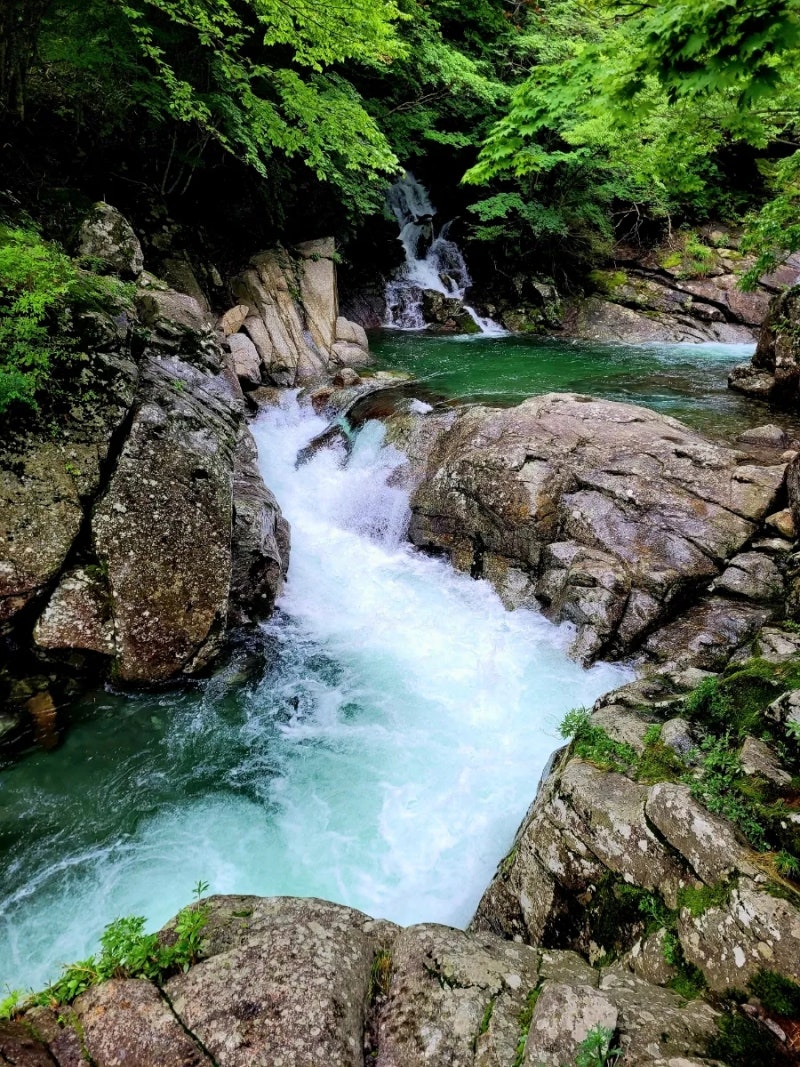 지리산국립공원 뱀사골계곡 트레킹(13km, 4시간 30분 소요) : 네이버 블로그