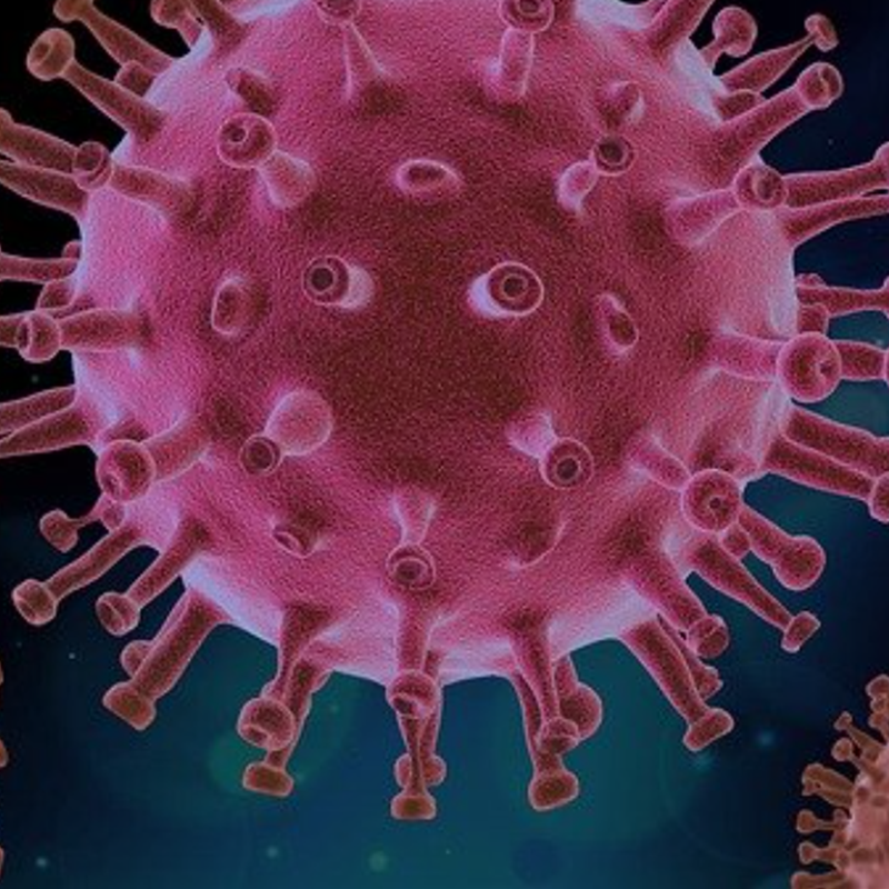 항생제 세프틸정 250mg, 성분/효능효과/먹는법/주의사항 알고 드세요~ : 네이버 블로그