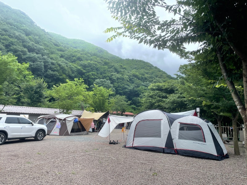 울산 배내골 강마을 캠핑장 2박 3일 다녀온 장단점 후기feat수영장계곡 네이버 블로그