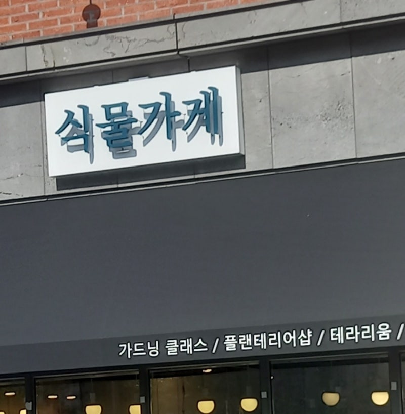 대전 식물 가게 식물카페 더맆🌿 첫 방문기 제라늄 희귀식물 관엽 테라리움 이끼 카페🌱 네이버 블로그