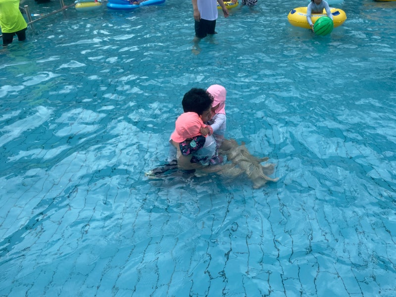 울산 배내골 강마을 캠핑장 2박 3일 다녀온 장단점 후기feat수영장계곡 네이버 블로그