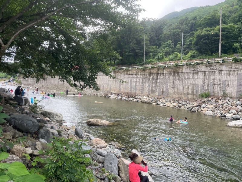 울산 배내골 강마을 캠핑장 2박 3일 다녀온 장단점 후기feat수영장계곡 네이버 블로그