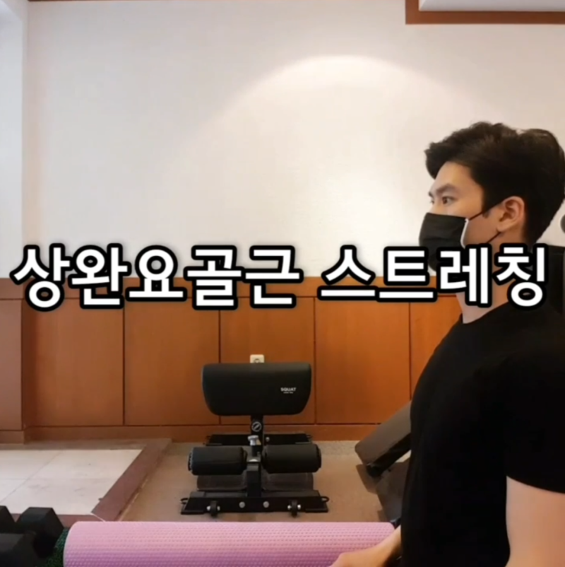 팔 스트레칭 모음이두근 삼두근 오훼완근 상완근 상완요골근 원회내근 네이버 블로그