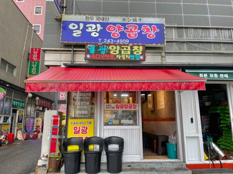 부산 남포동 자갈치 곱창골목 맛집 일광양곱창 네이버 블로그