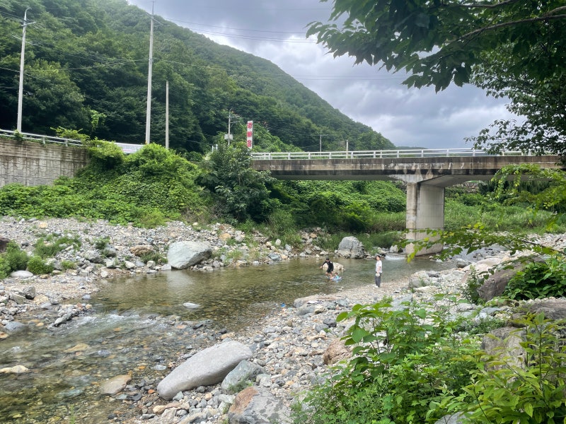 울산 배내골 강마을 캠핑장 2박 3일 다녀온 장단점 후기feat수영장계곡 네이버 블로그
