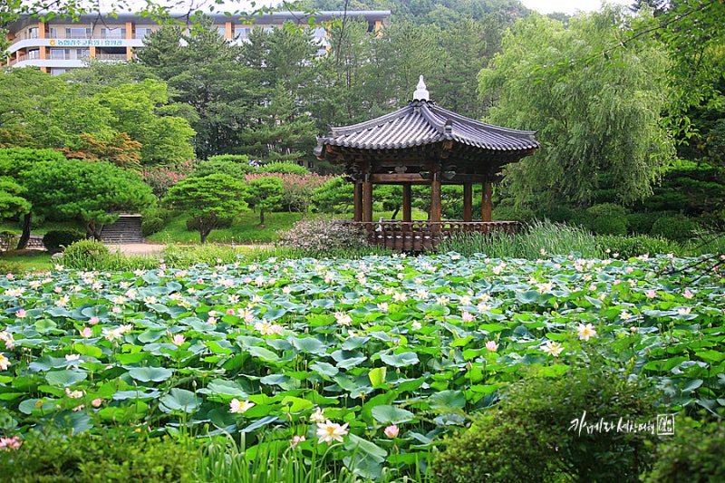 경주 가볼만한곳 보문단지 체험 경주 볼거리 놀거리 네이버 블로그