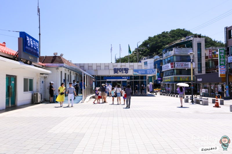 정동진 기차여행 정동진역 레일바이크 네이버 블로그