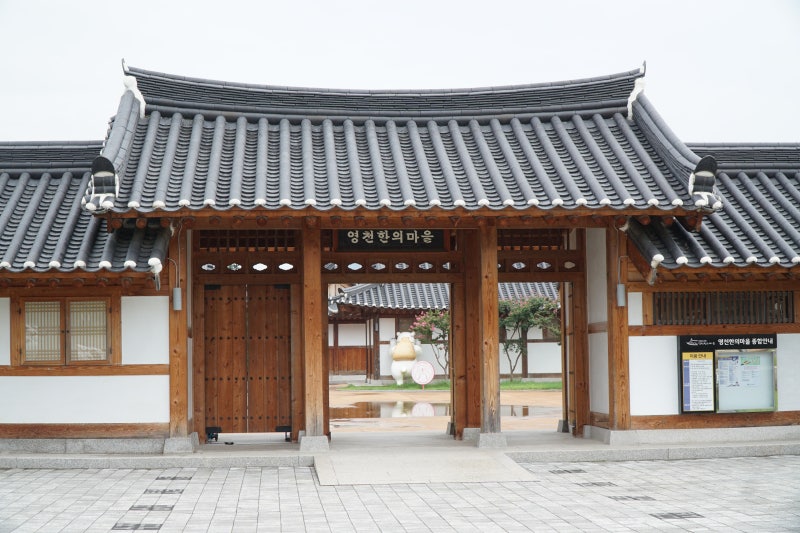 영천 가볼만한곳 귀여운 약곰이와 볼거리가 많은 영천한의마을 네이버 블로그