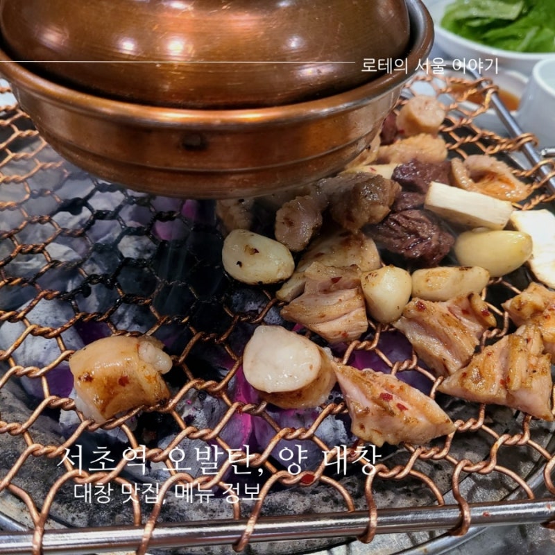 오발탄 서초 양대창 가격 메뉴 서초역 맛집 네이버 블로그