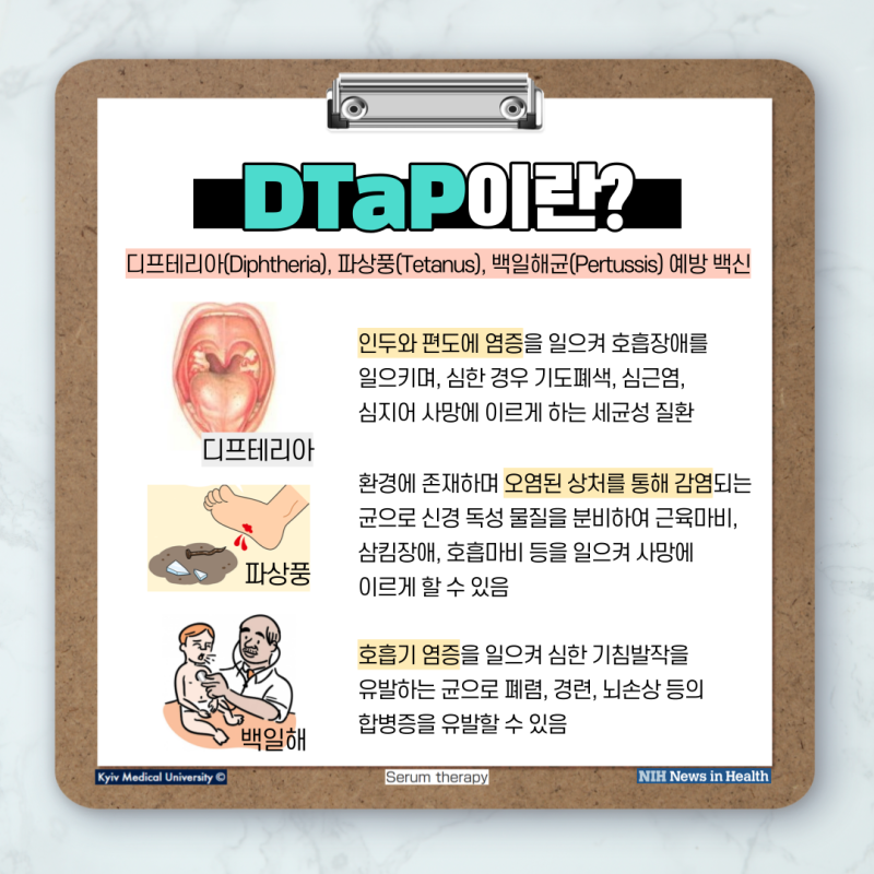 어린이 예방접종 Dtap Td Tdap 차이점 완전정복 네이버 블로그