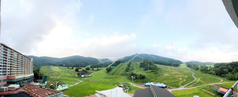 웰리힐리파크 레저 즐기기 사계절 썰매 And 플라잉라인 짚라인 네이버 블로그