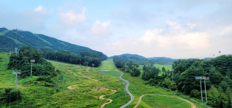 웰리힐리파크 레저 즐기기 사계절 썰매 And 플라잉라인 짚라인 네이버 블로그