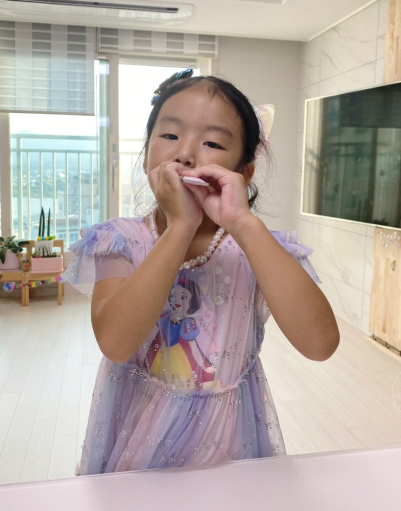 알레르기 비염 진심인 작두콩 수세미스틱 비염에 좋은 음식 네이버 블로그