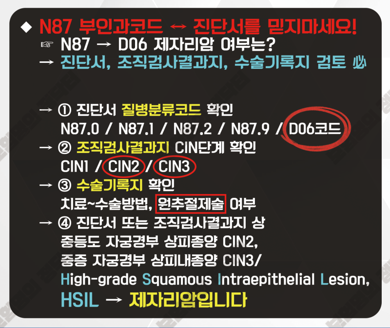 자궁경부이형성증으로 수술하셨나요? 질병분류코드가 N87,N872이신가요? 제자리암(D06)으로 검토 가능 : 네이버 블로그