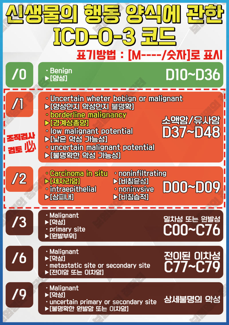 자궁내막증식증n85 N851이 제자리암d07으로 가능한 경우 네이버 블로그