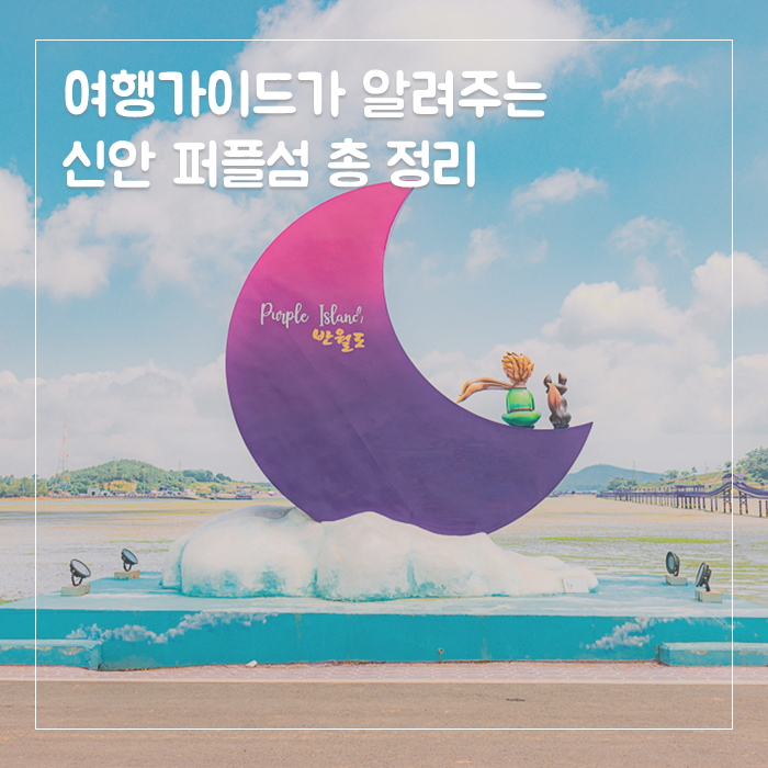 여행가이드가 알려주는 전남 신안 퍼플섬 가볼만한곳 퍼플교 반월도 박지도 천사대교 등 네이버 블로그