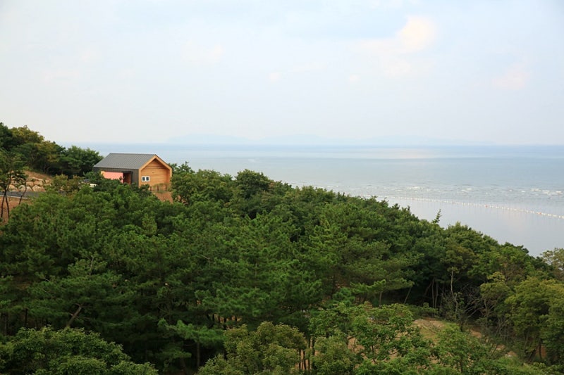 인천 국립 무의도 자연휴양림 네이버 블로그