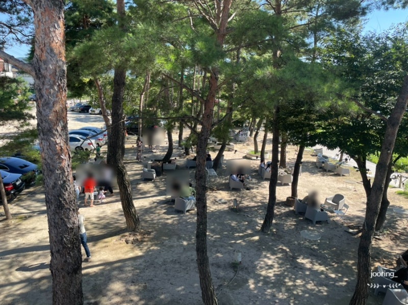팔당 애견동반카페 남양주 포러데이팔당 매장 넓고 뷰 좋은 카페로 강추 네이버 블로그