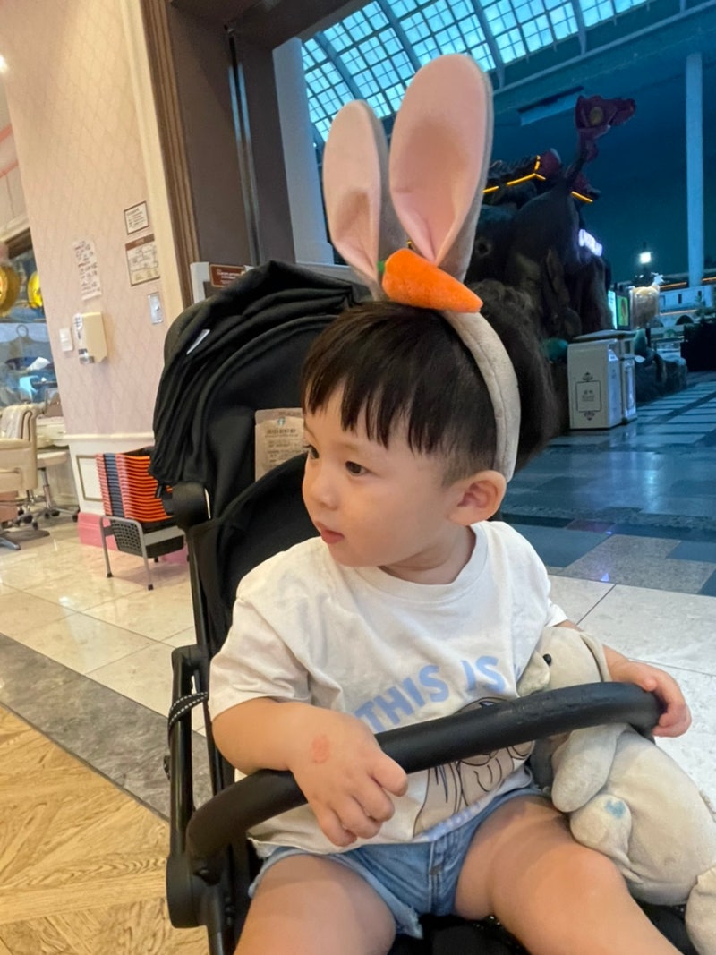 두돌 아기랑 단둘이 평일 롯데월드 야간개장 꿀팁/주차/놀이기구 : 네이버 블로그