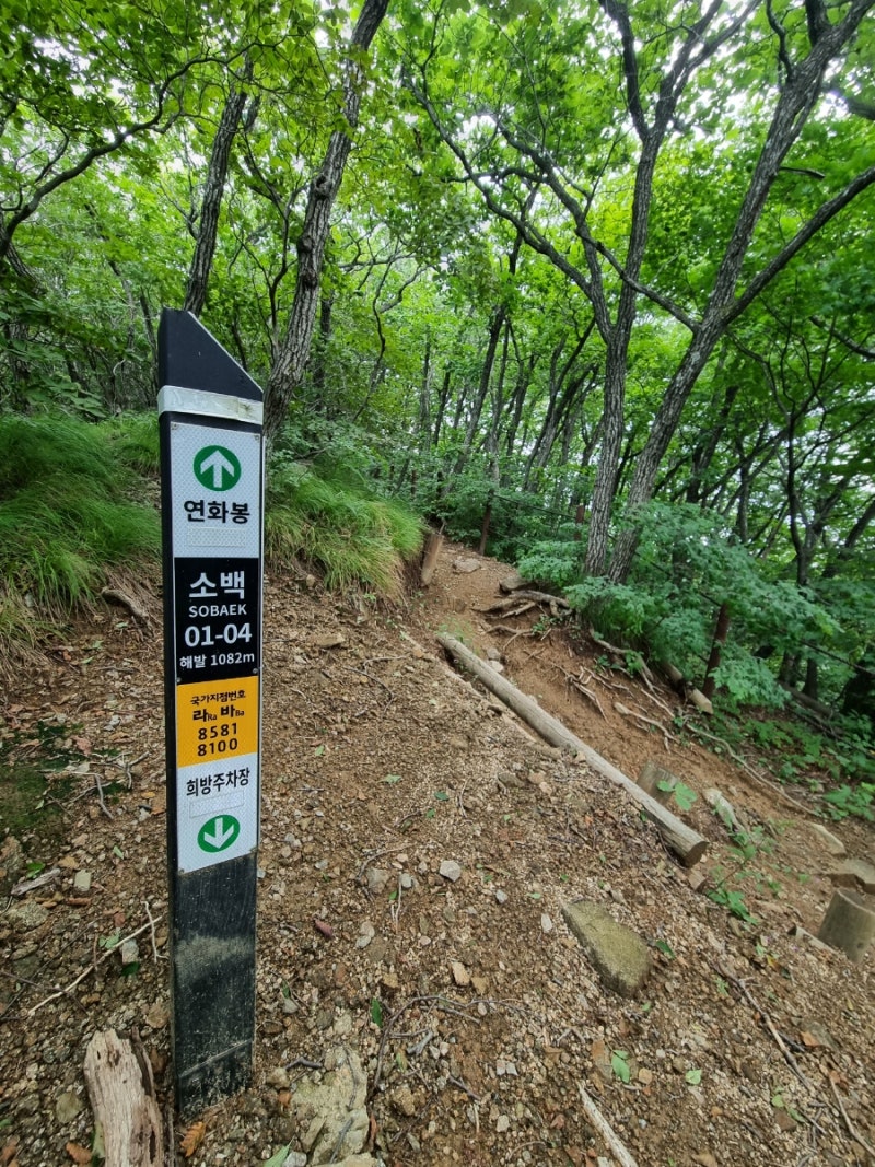 소백산 정상 비로봉 등산코스 희방사 초암사 코스 산행이야기 청명한 날씨 연화봉 국망봉 네이버 블로그